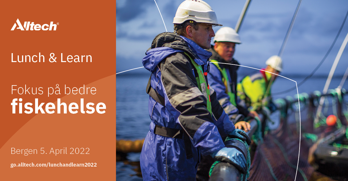 Lunch and Learn 2022